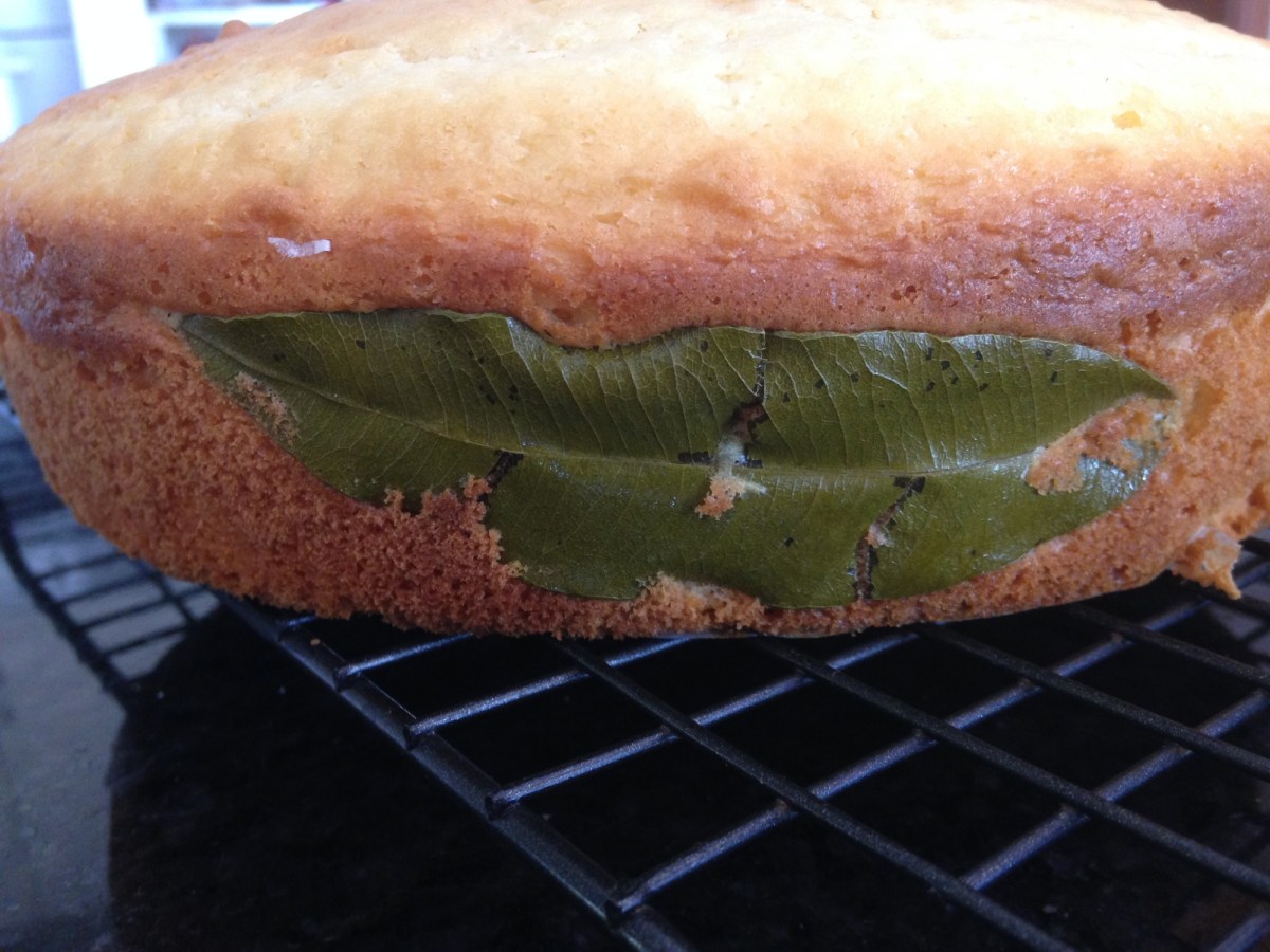 Lemon Scented Myrtle Cake | Claire Bickle
